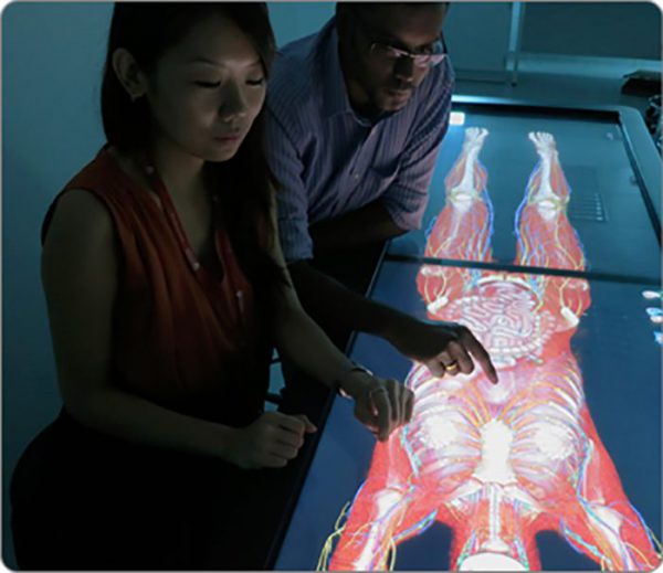about Invivo 6. What should I choose cracked or license? - aboutsoft.org